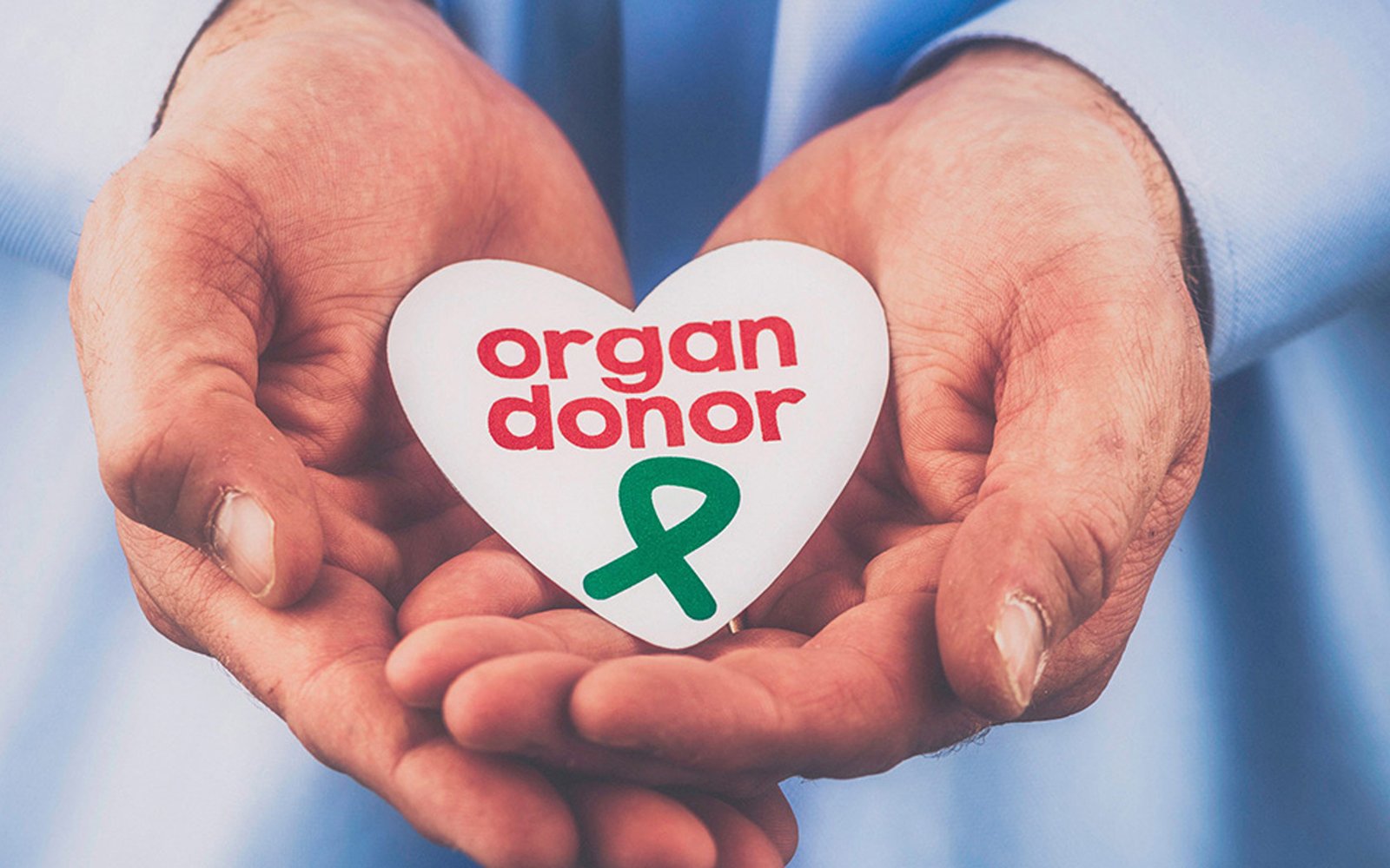 What Is Organ Donation What Is Organ Donation
